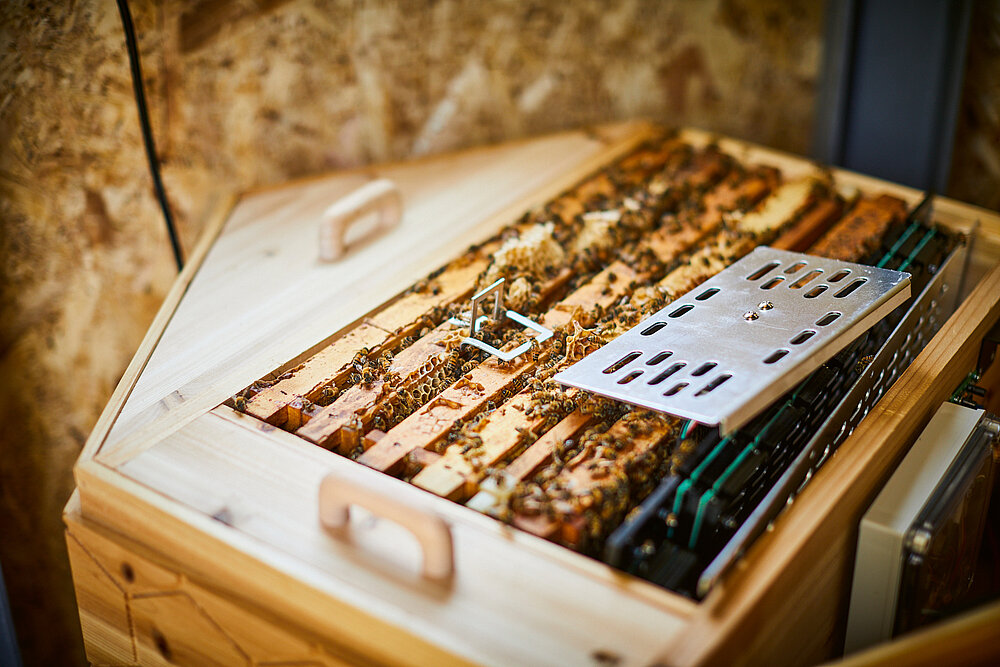 Red Dot Design Award: Solar Beehive