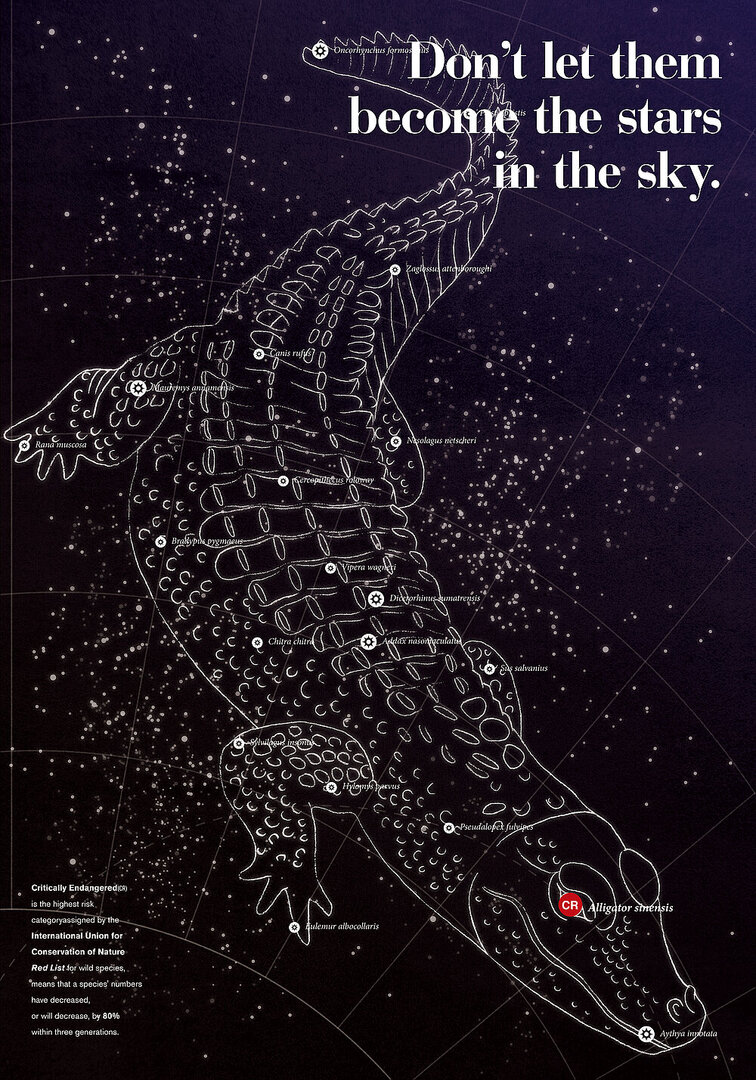 Red Dot Design Award: The Legend of Stars