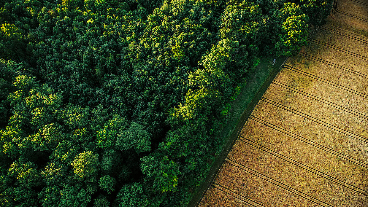 Red Dot Design Award: Speed Wheels