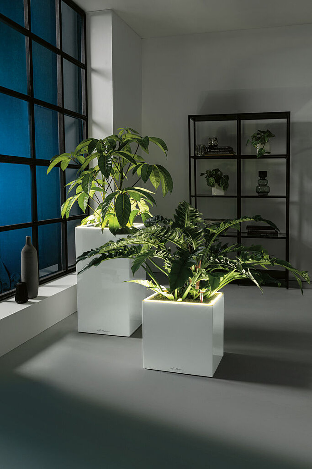 Red Dot Design Award: CANTO LED