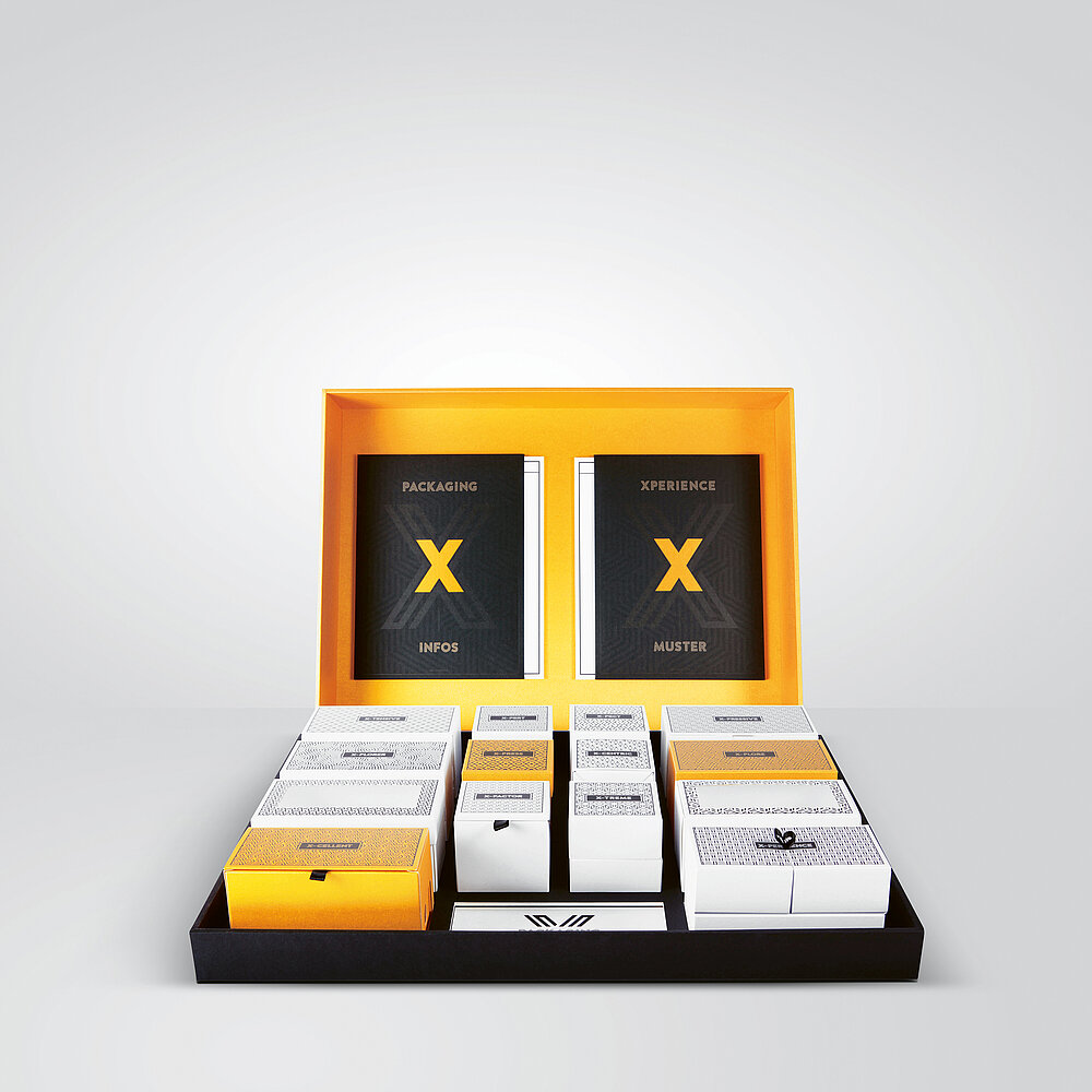 Red Dot Design Award: XPERIENCE BOX