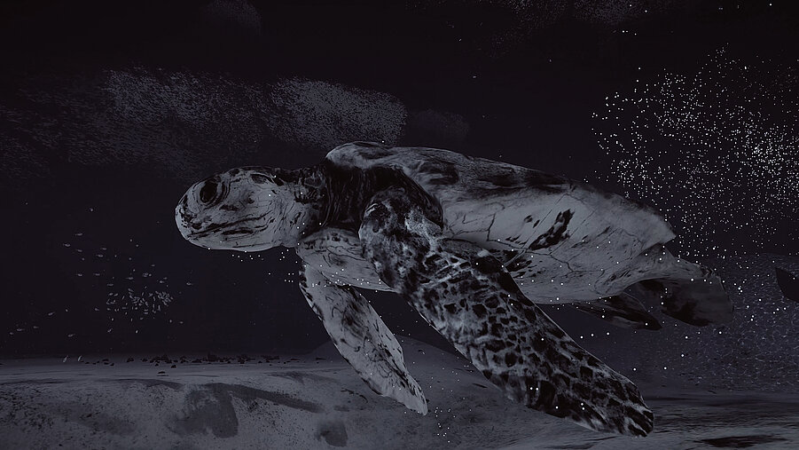 Artificial Rome & Miiqo Studios