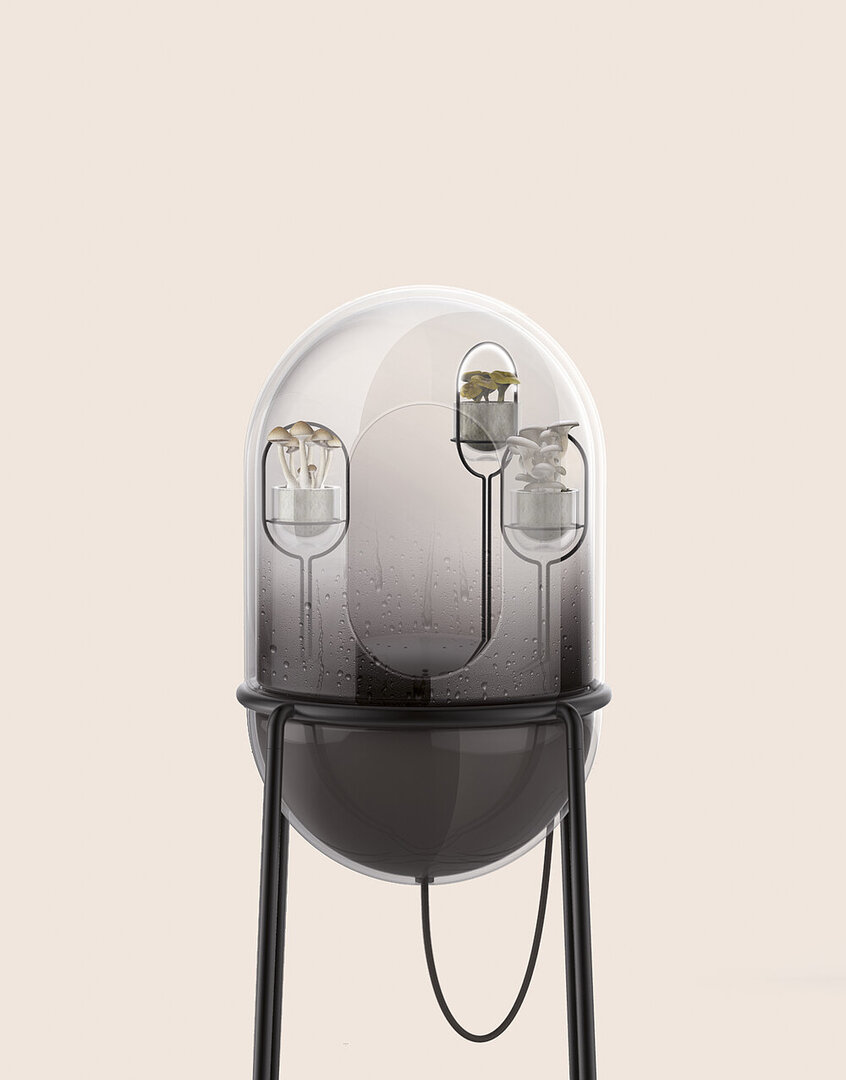 Red Dot Design Award: My:celium