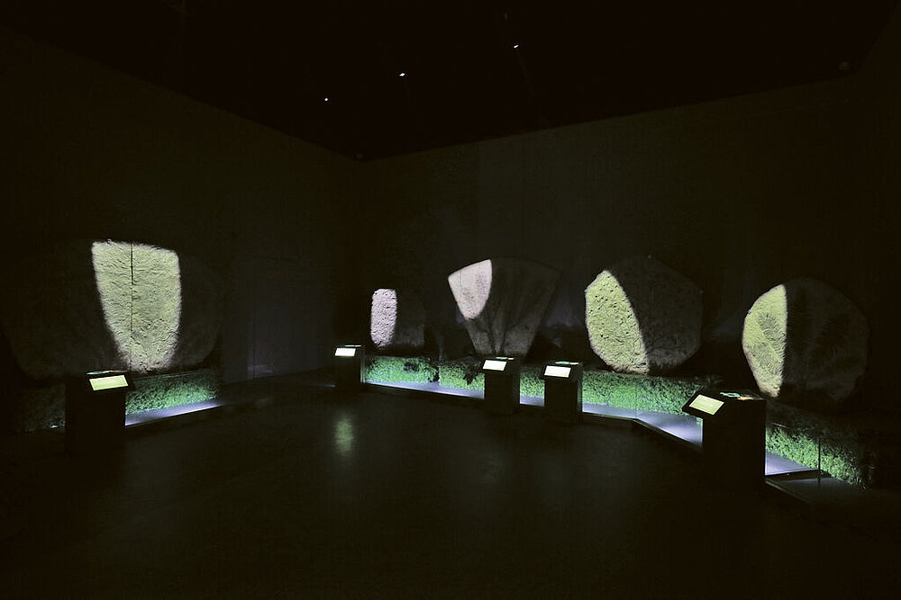 Red Dot Design Award: “Adventures of Plants” – Artmosphere Showlab at ...