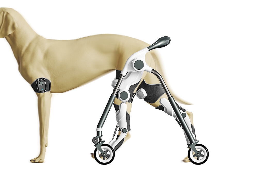 Red Dot Design Award: Dogiin