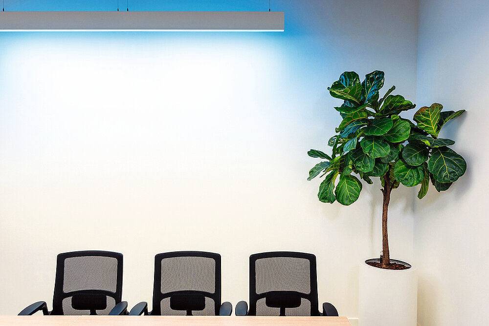 Red Dot Design Award: NatureConnect by Signify