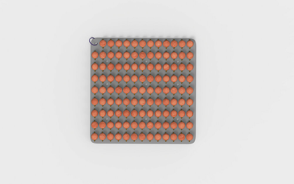 Red Dot Design Award: Mati